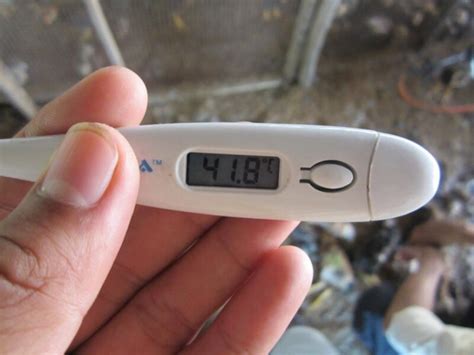 Những hình ảnh cặp nhiệt độ sốt 38 độ 39 độ chân thực