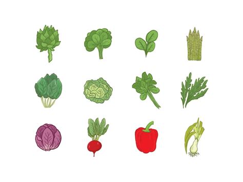 Premium Vector Set Of Vegetable Drawing Vector Illustration