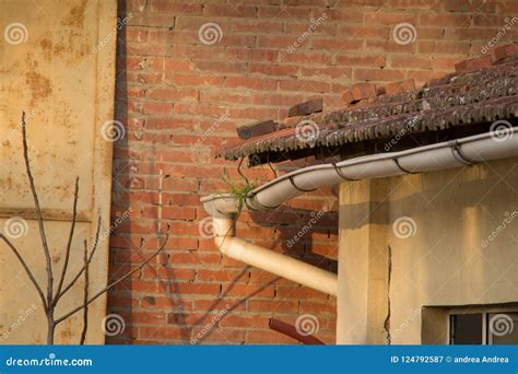 Gutter Detached From The Roof With Grass Stock Image Image Of Tree
