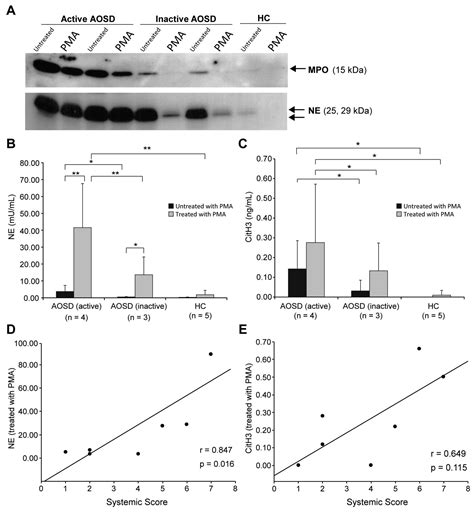 Neutrophil Extracellular Traps May Contribute To The Pathogenesis In