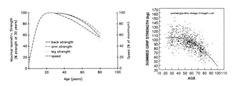 Use It Or Lose It Stop Aging In Its Tracks Adaptive Strength