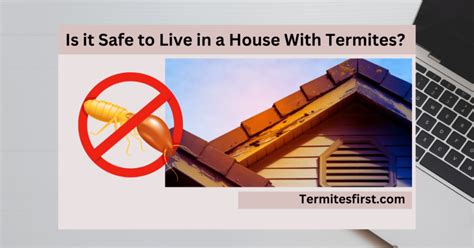How To Get Rid Of Termites In Trees Natural Methods And Effective Treatment