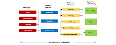 Conceptual Framework Showing Inter Linkages Between Different Download Scientific Diagram