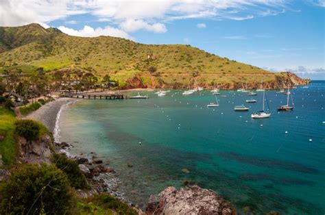 19 Best Things To Do On Catalina Island Viatravelers