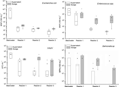 E Coli Enterococcus Spp Hadv And Salmonella Sp Concentrations
