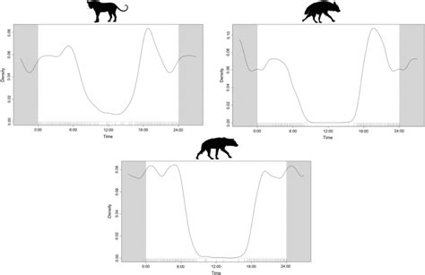 Kernel Density Estimates Of The Daily Activity Patterns Of Leopard