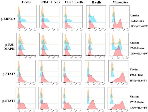 Phosphoflow Services Raybiotech Raybiotech