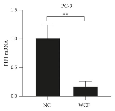 Microarray Analysis Quantitative Real Time Pcr And High Content