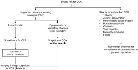 Cholangiocarcinoma Early Detection And Screening In High Risk Population