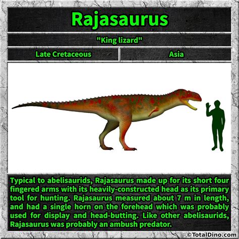 Rajasaurus Indias Crested Abelisaurid Total Dino