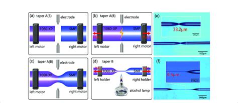 Representation Of The Fabrication Steps Of Tapers To Form A