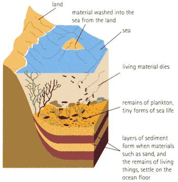 Sedimentary Rock Layers Diagram
