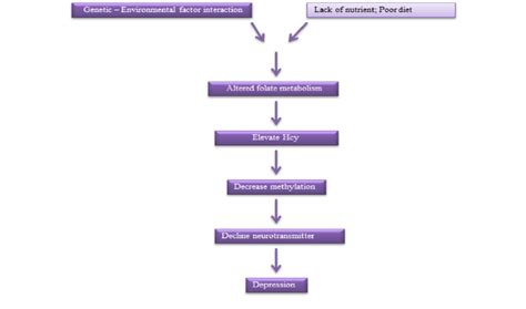 Hypothesized Pathogenesis Of Depression Download Scientific Diagram