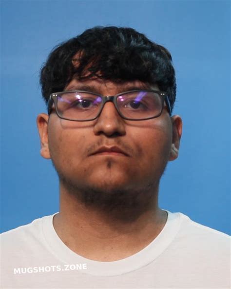 Castillo Joshua Ramse 04 25 2025 Brazoria County Mugshots Zone