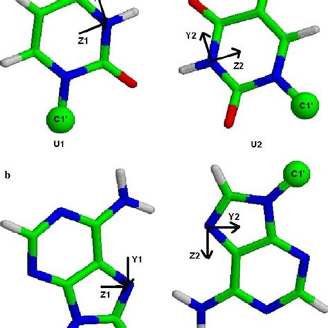 Pdf Conformational Specificity Of Non Canonical Base Pairs And Higher Order Structures In