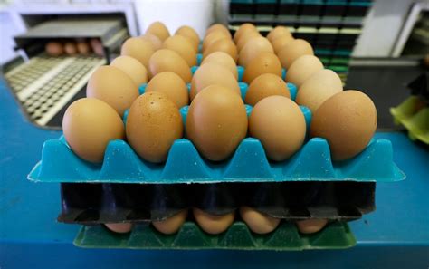Massive Egg Recall Fda Updates Risk Level For 6 Million Eggs Sold To