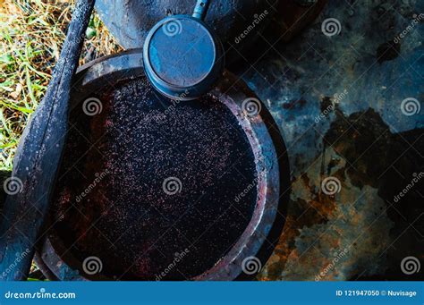 Process Of Making Indigo Dye Indigo Plant Fermentation In Clay Stock