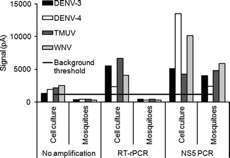 comparison of amplification methods for microarray detection of cell
