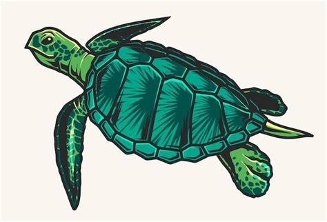 Sea Turtle Detailed Colorful Label Premium Ai Generated Vector