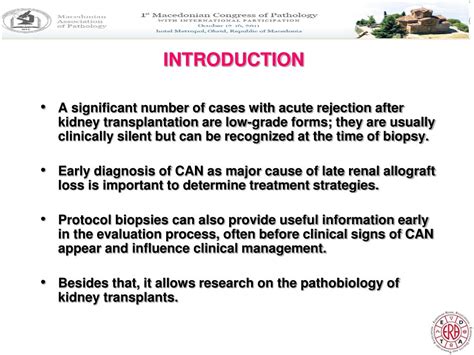 Ppt The Value Of Protocol Biopsies In Renal Allografts Powerpoint