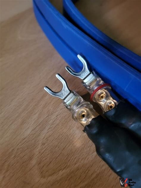 Siltech Ft 12 Pure Zilver Wired Speaker Cables Photo 4922682 Uk Audio Mart