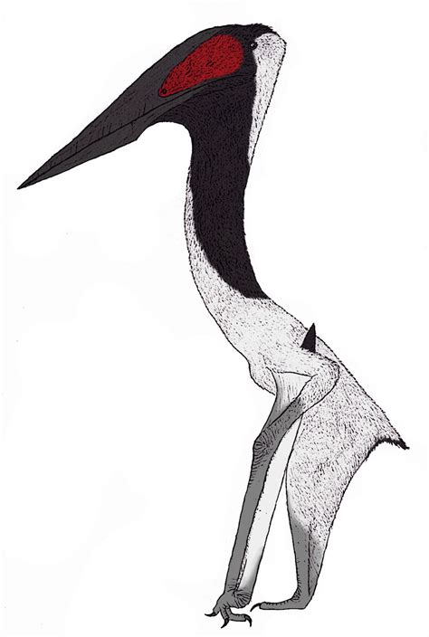 Generic Azhdarchid By Themorlock On Deviantart