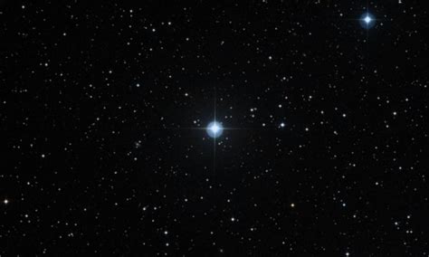 23 Cam Star In The