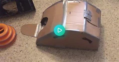 Made This Fort A While Ago For My Cat With Leftover Boxes From Ikea