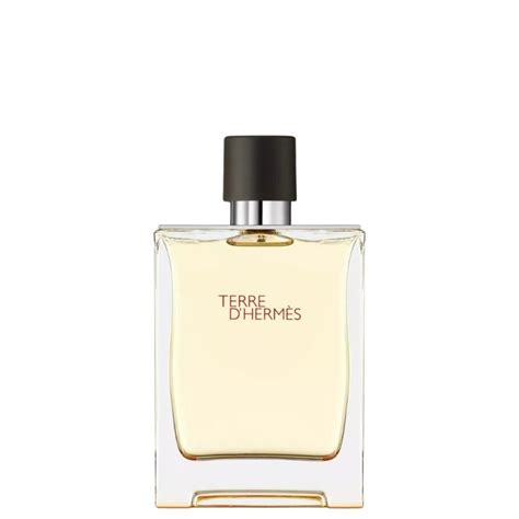Hermes Terre Dhermès Eau De Toilette 50ml Landys Chemist