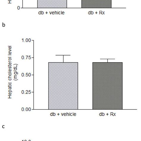 Ruby Hoo Assistant Professor Phd The University Of Hong Kong Hong Kong Hku Department
