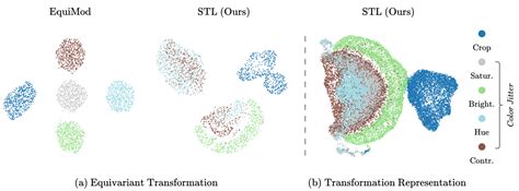 论文审查 Self Supervised Transformation Learning For Equivariant Representations