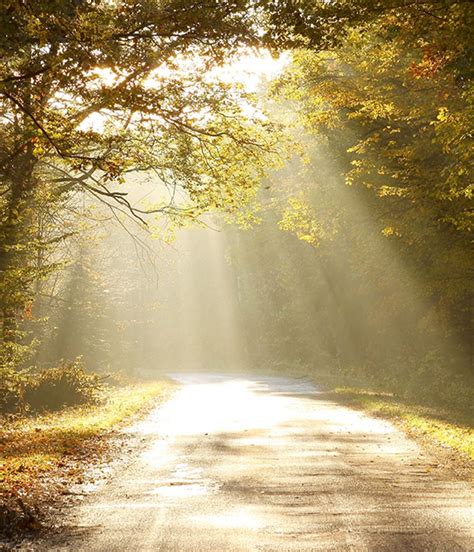 Thomas E Mitchell Obituary February 16 2025 Buffalo Hill Funeral Home And Crematory