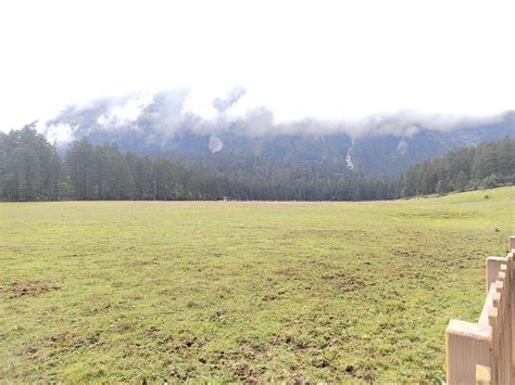 喵妈sharingiscaringloving 2019 ♥️ 获 颁「 分 享 大 使 」🏆 𝙈𝙄𝙊 喵妈