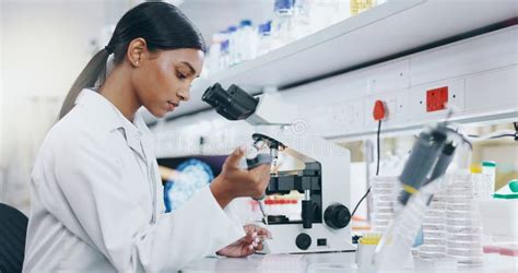 Woman Science And Working With Microscope In Laboratory Microbiology