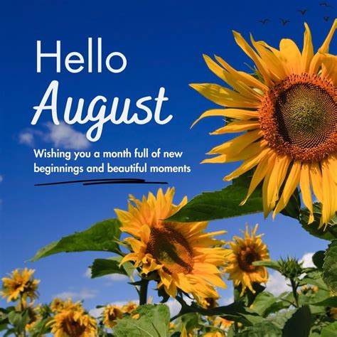 Webflux Dynamics On Instagram New Month New Beginnings 🌞 August