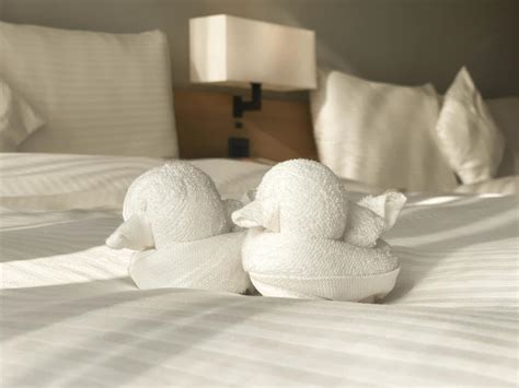 黃色小鴨重返高雄，和逸飯店‧高雄中山館推住房專案搶商機 生活 工商時報