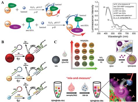Homogeneous No‐wash Assay Based On Cret And Loci A Cret Based On