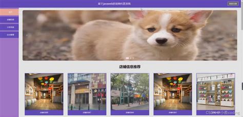 基于springbootvue的宠物托管系统的详细设计和实现源码lw部署文档讲解等 Csdn博客