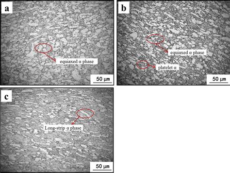 Effect Of Roller Rotating Speeds On Microstructure Of The Rolled Download Scientific Diagram