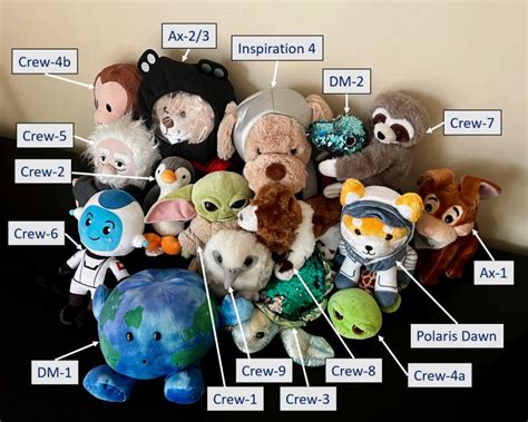 Im Excited To Have My Crew Dragon Zero Gravity Indicator Collection