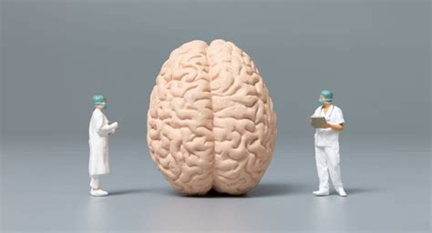 The Role Of Schema In Cognitive Development And Its Impact On