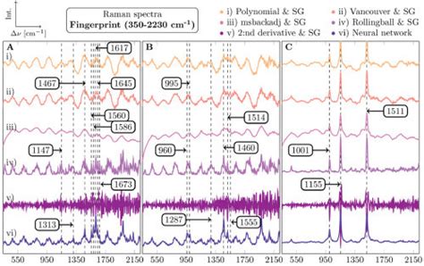preprocessed raman spectra from fresh brain tissue samples covering the