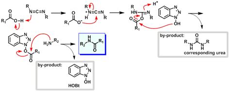 Amine To Amide Mechanism EDC HOBt
