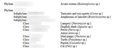 Diagram Of Taxonomy For Specimens Used In The Lab Quizlet