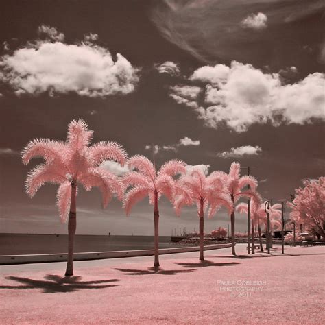 Cotton Candy Beaches By La Vita A Bella On Deviantart
