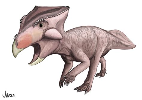 File Koreaceratops Png Wikipedia