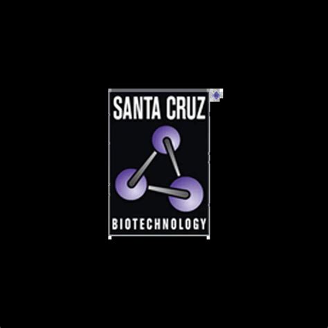 γpak Crispr Cas9 Ko Plasmid H