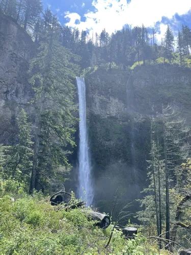 Best Historic Site Trails In Gresham Alltrails