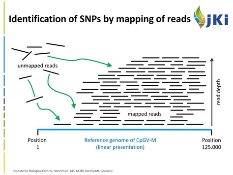 Use Of Next Generation Sequencing Techniques For Characterisation Of