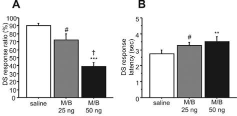 Limbic Interactions Of The Dorsal Medial Prefrontal Cortex The Other